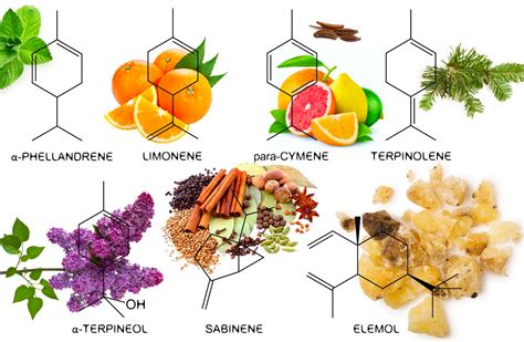 Caracter Sticas Qu Micas Y Farmacol Gicas Mind Map