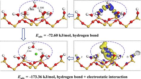 Density Functional Theory Study Of Water Molecule Adsorption On The