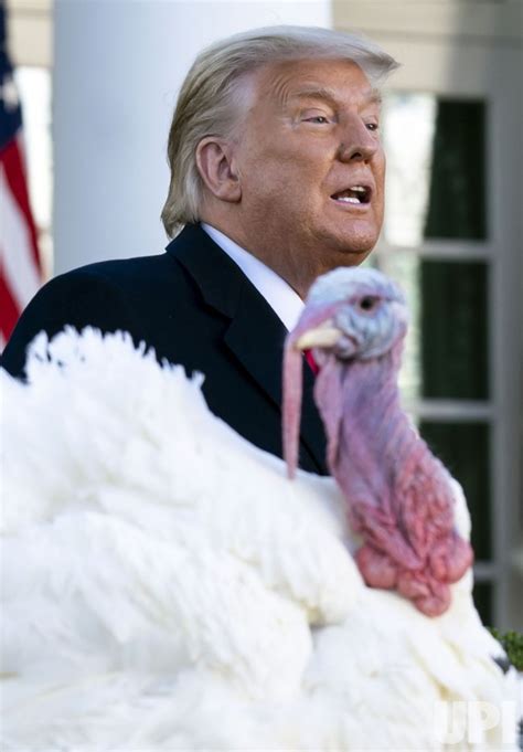 Photo President Trump Pardons The National Thanksgiving Turkey In