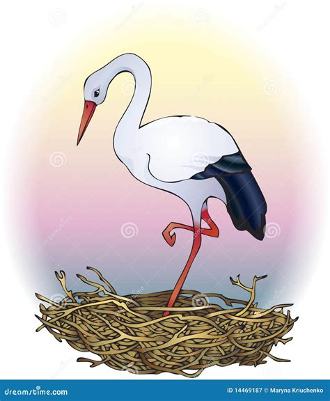 Stork In The Nest Stock Vector Image Of Bird Hatch