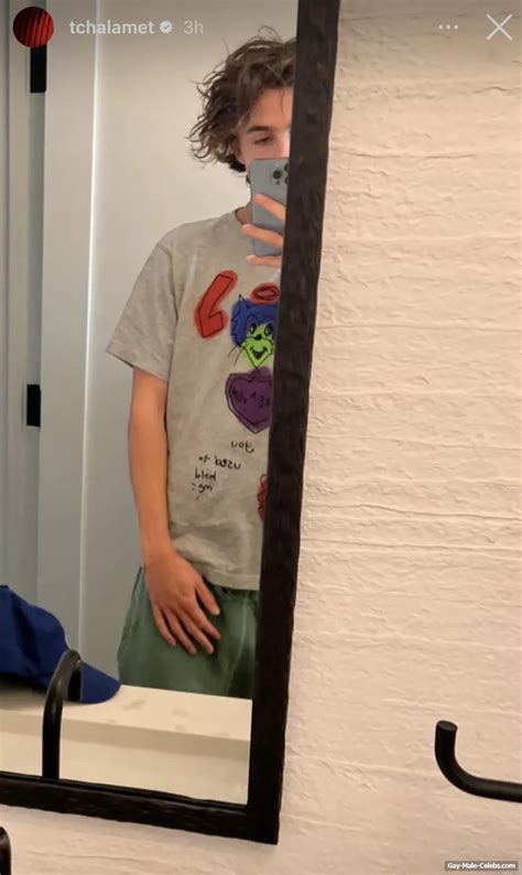 Timothée Chalamet Oops And Shirtless Photos Naked Male celebrities