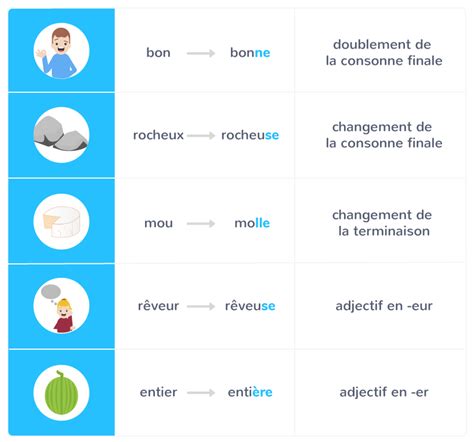 L accord de l adjectif CM2 Cours Français Kartable