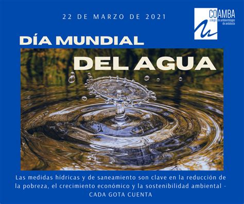 De Marzo D A Mundial Del Agua Coamba