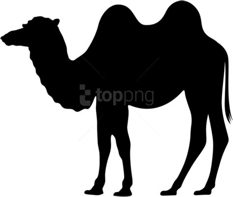 Free Png Camel Silhouette Png Png Camel Silhouette Clipart