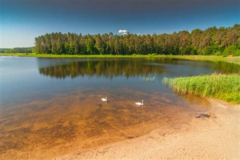 Roztoczański Park Narodowy ceny biletów szlaki piesze rowerowe