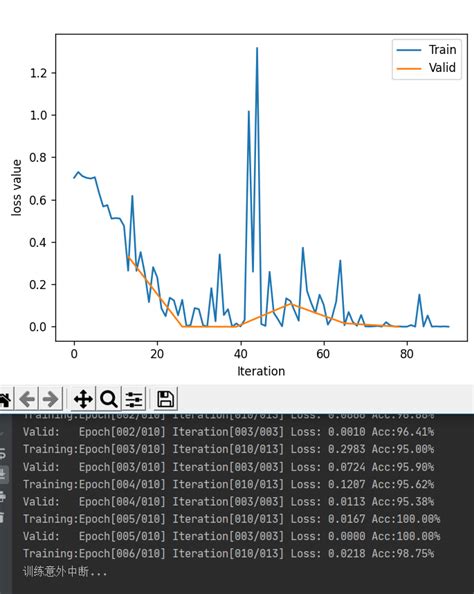 pytorch基础学习（第七章 pytorch训练技巧） pytorch criterion billie使劲学的博客 csdn博客