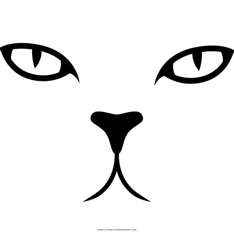 Gato Desenho Para Colorir Ultra Coloring Pages