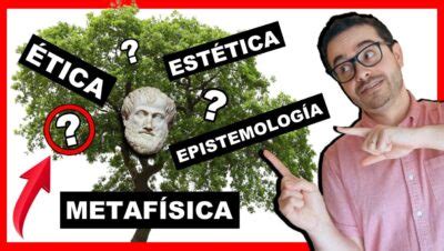 Cuáles son las 7 ramas de la Filosofía Comprender mx