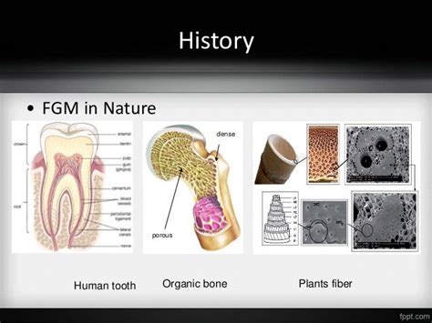 functionally graded materials fgm an overview