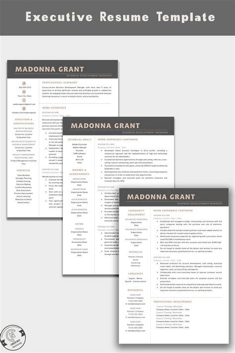 Modern Executive Resume Template Ceo Resume Template For Word Google