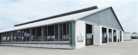 Nowoczesna ferma dla 300 krów w Gorzupi Hodowla i Chów Bydła