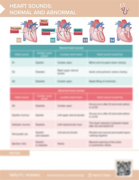 Solution Nursing Cs Heart Sounds Normal And Abnormal Studypool