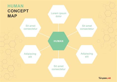 Amazing Concept Map Templates Free Templatelab