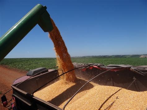 Conab estima produção recorde de 241 3 milhões de toneladas de grãos