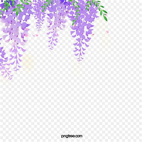 紫藤花藤蔓 紫色鮮花 植物元素 藤蔓素材圖案PSD和PNG圖片免費下載