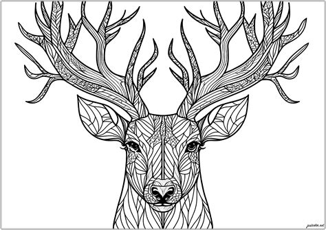 Cerf Aux Formes G Om Triques Et Complexes Coloriages Cerfs Difficiles