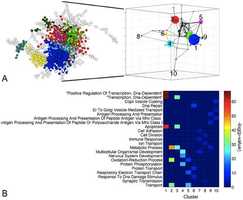 gep nen gene co expression network a visualization of the gep nen download scientific diagram