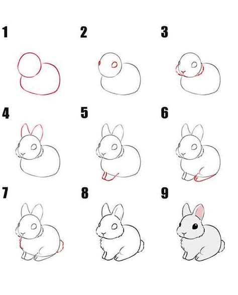 How To Draw Rabbit Idea 14 Step By Step Drawing Photos