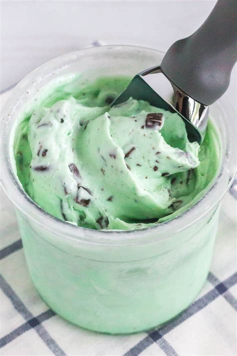 30 Best Ninja Creami Recipes You Need To Try Artofit