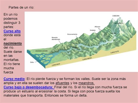 Las Partes De Un Rio Entero