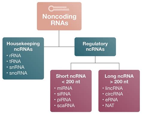 coding and non coding rna bio rad