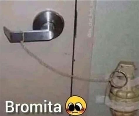 Bromita Meme Subido Por ViolaMadresV2 Memedroid