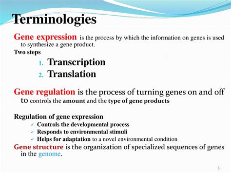 Ppt Prokaryotic Gene Expression And Regulation And Eukaryotic Gene