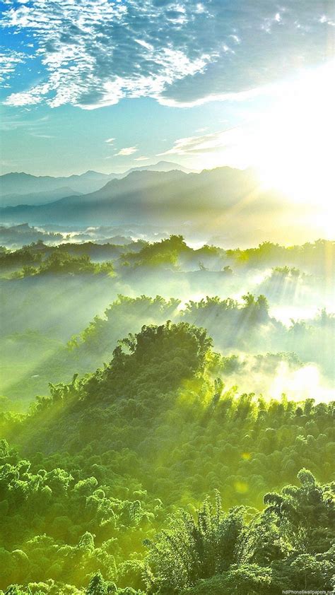 Nature Background Hd Portrait Myweb