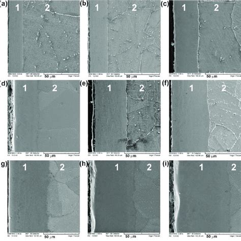 microstructure of nimonic 80a alloy after plasma paste boriding using download scientific