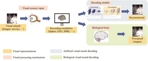 neural decoding of visual information across different neural recording modalities and approaches