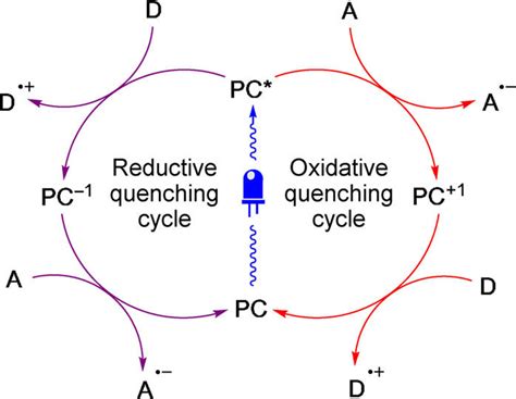 Possible Catalytic Quenching Cycles Of A Photoexcited Photoredox