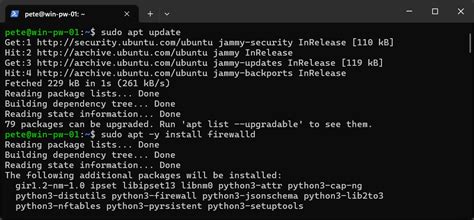 How To Install Firewalld On Wsl Ubuntu Dbasco
