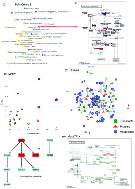 Example Of Other Available Metabolomics Data Analysis Tools A