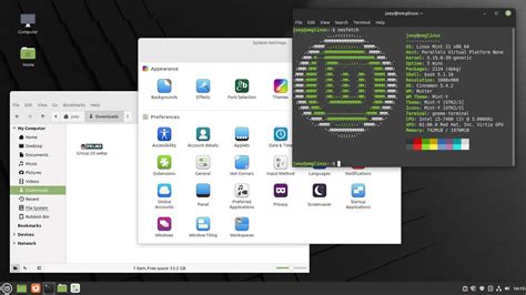 Linux Mint 21 Beta já está disponível para download