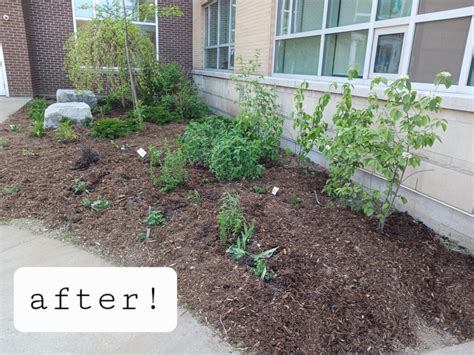 Pollinator Indigenous Plant Garden Our Canada Project