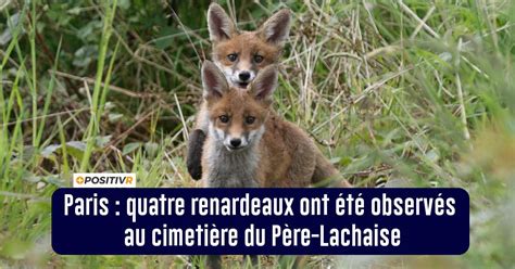 Top 5 des bonnes nouvelles du jour épisode 28 un lundi qui reste chez lui