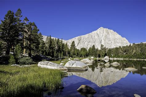 United States Coniferous Tree Rock Non Urban Scene Rocky Mountains