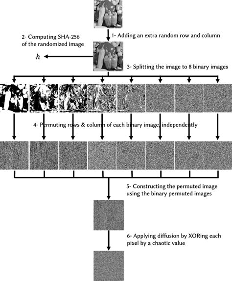 schematic description of the proposed encryption algorithm download scientific diagram