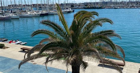 Entdecke Valencias K Stenjuwelen Private Segeltour Getyourguide