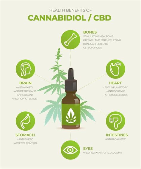 Infografía de beneficios del aceite de cannabis Vector Gratis