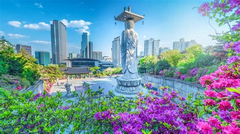 韓国ソウルの観光おすすめ人気の定番スポット39選 skyticket 観光ガイド