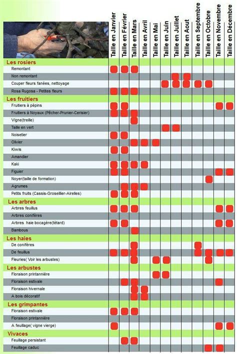 Épinglé par Arlette Lefevre sur astuces en 2023 Calendrier jardin