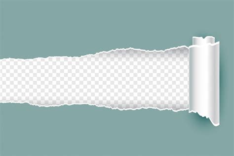Papel Rasgado Rasgado Realista Con Bordes Enrollados Vector Gratis