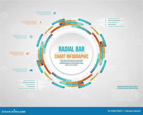 Radial Bar Chart Infographic Stock Vector Illustration Of Radial
