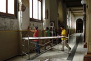 Museo De Historia Natural Se Renueva En Icarito