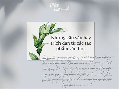 Những trích dẫn hay từ tác phẩm Văn học Thích Văn Học