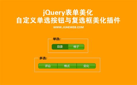 jquery表单美化自定义单选按钮与复选框美化插件 表单按钮 js表单美化 聚合分享素材网