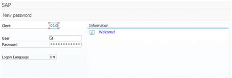 Text On Logon Screen Before And After Logon Saptechnicalguru