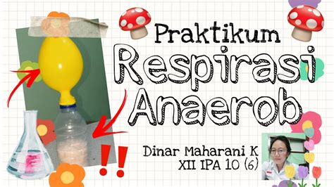 Praktikum Respirasi Anaerob Fermentasi Alkohol Tugas PJR Biologi