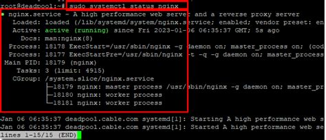 How To Setup The Nginx Web Server On Ubuntu 18 04 OliveVPS